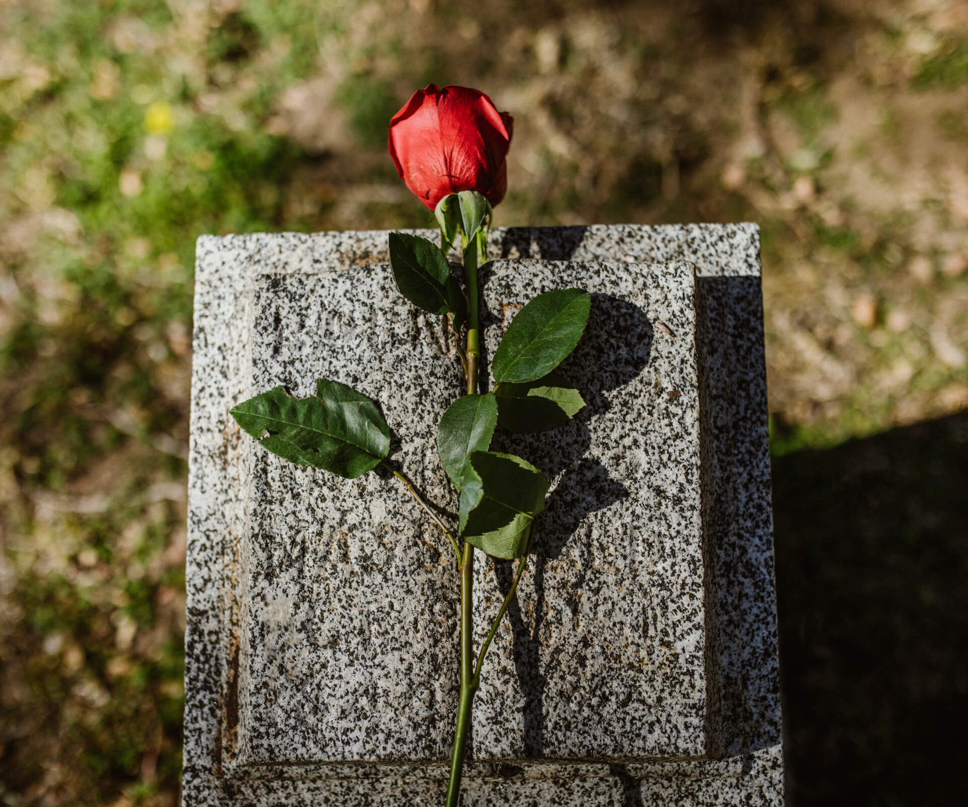 300+ messages for expressing condolences – Catholic Cremation